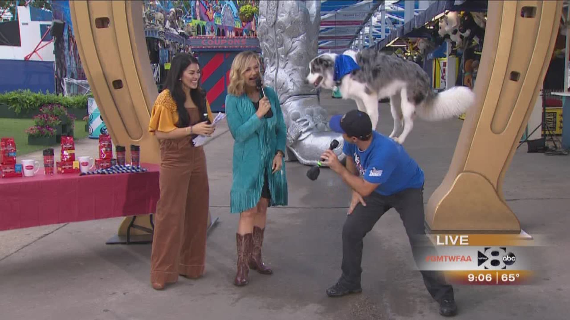 All-Star Stunt Dog Show at the State Fair of Texas | wfaa.com