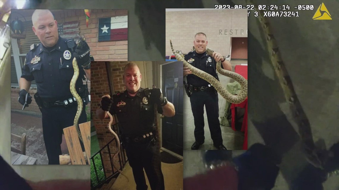 Irving PD has a ‘snake whisperer’: Meet Officer Stephen Burres III ...