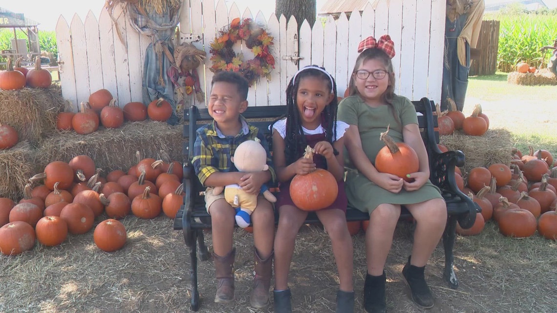 Wednesday's Child: Trio of joyful siblings seek forever family filled ...