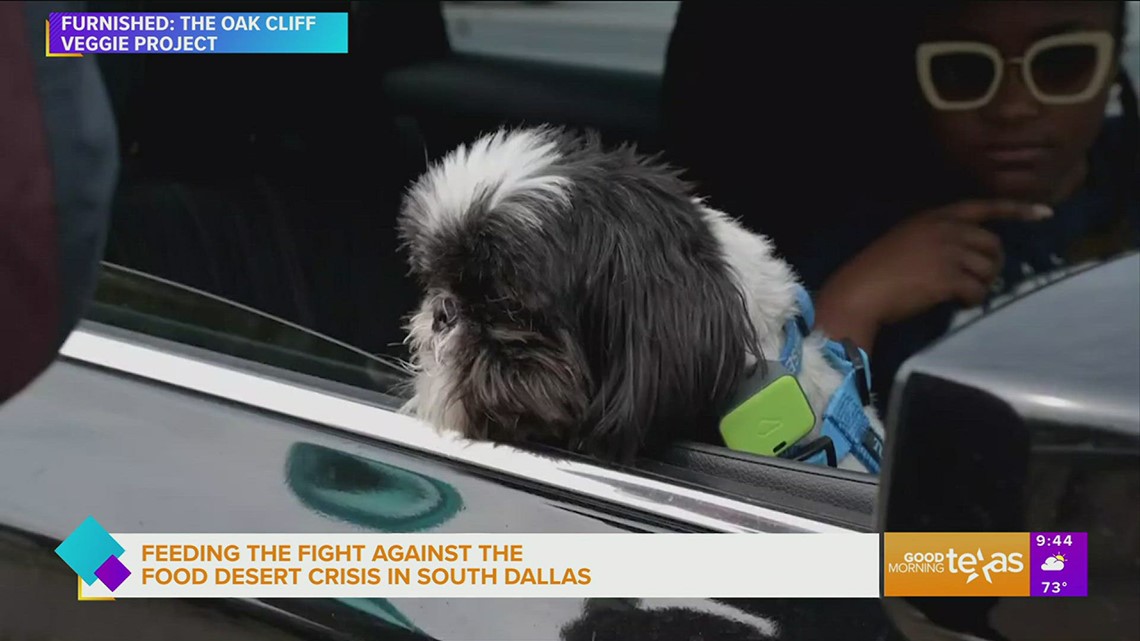 Feeding the Fight Against the Food Desert Crisis in South Dallas | wfaa.com