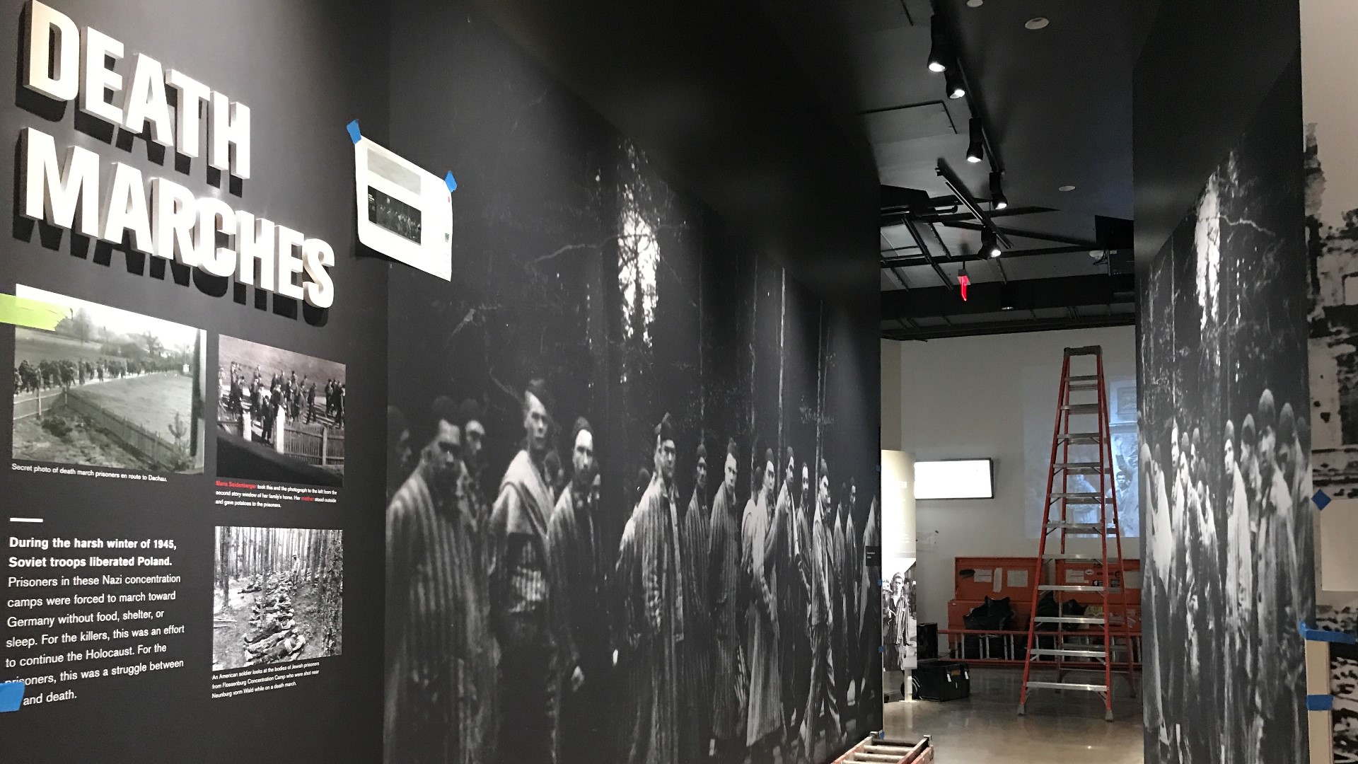 New museum lets you speak face-to-face with Holocaust survivor via ...