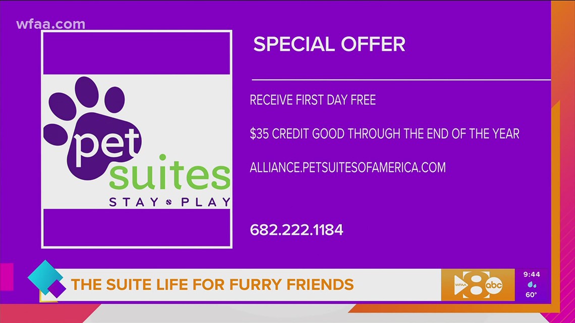 Give your pet a vacation at PetSuites of America | wfaa.com