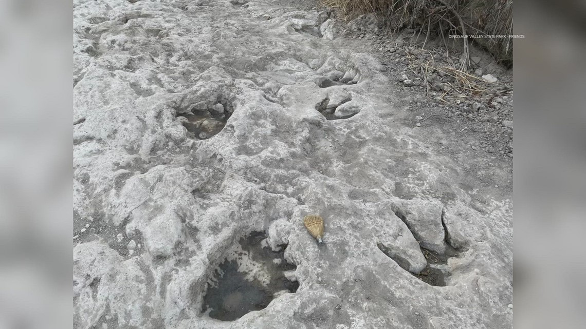 Never-before-seen tracks exposed at Dinosaur Valley State Park | wfaa.com
