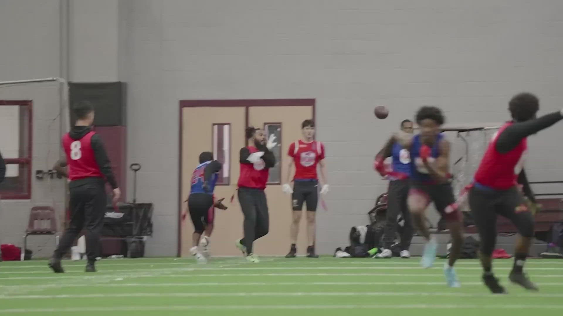 Meet Dallas' newest pro football team: The Dallas Ocelots | wfaa.com