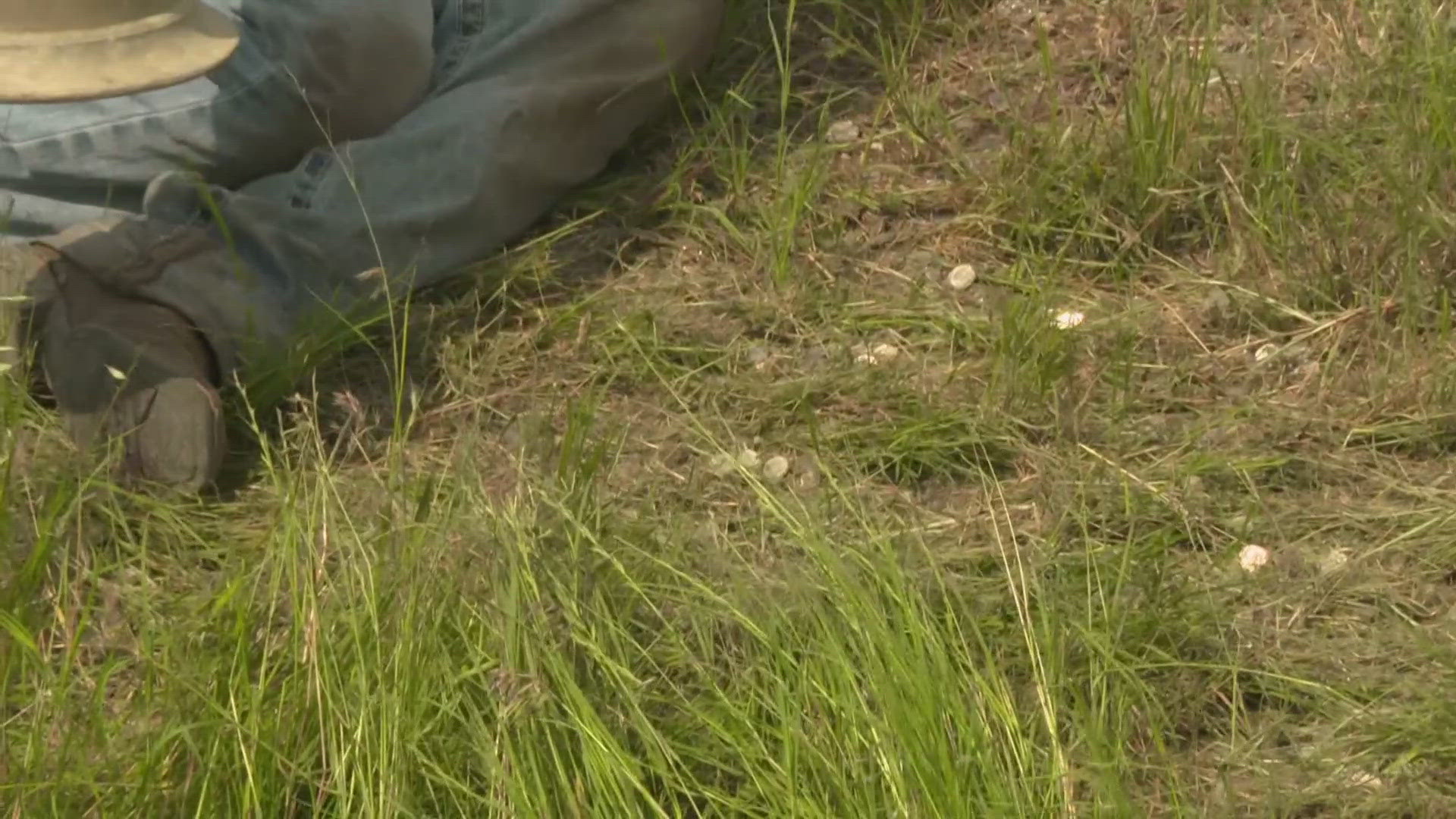 Officials spend hours picking up dimes spilled at the side of a highway ...