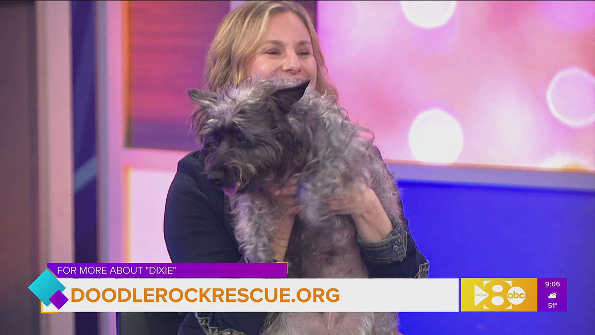 Taking Care of a New Pet | wfaa.com