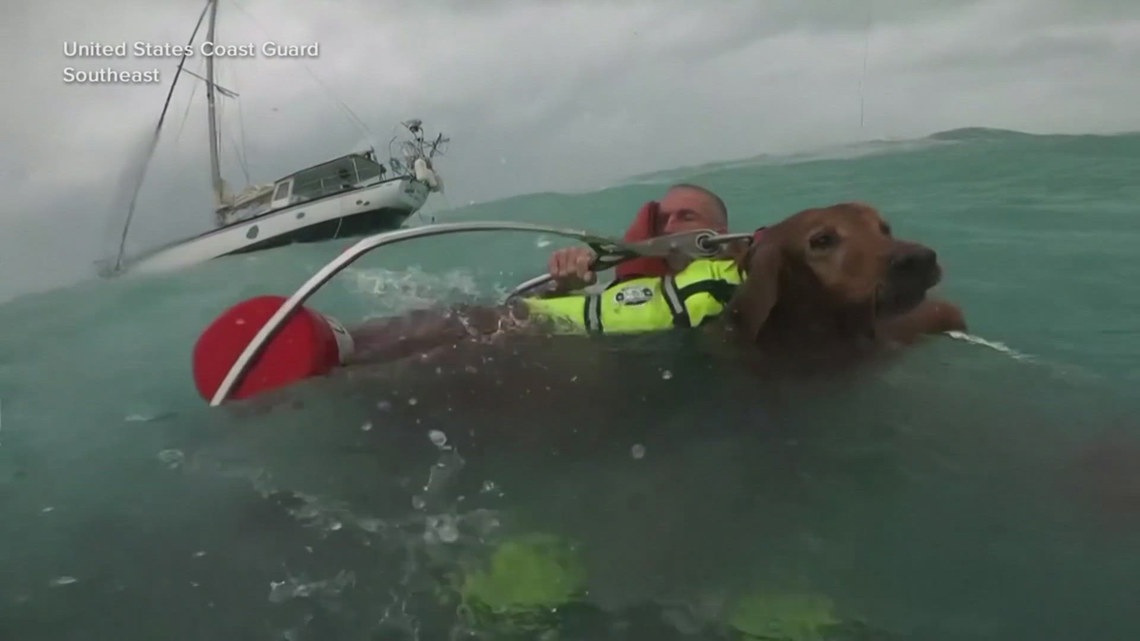 United States Coast Guard saves man and dog after they drifted off the ...