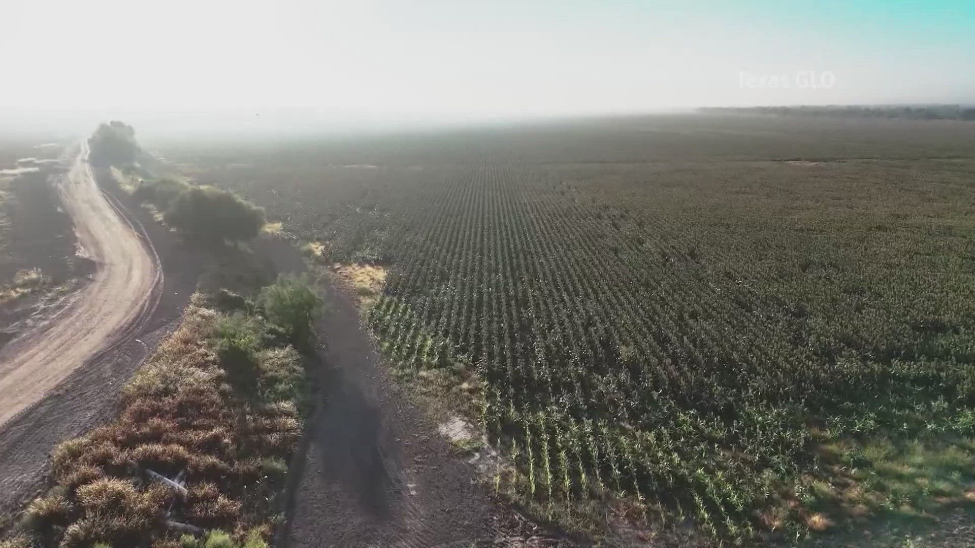 Trump administration moving forward with border wall plans | wfaa.com