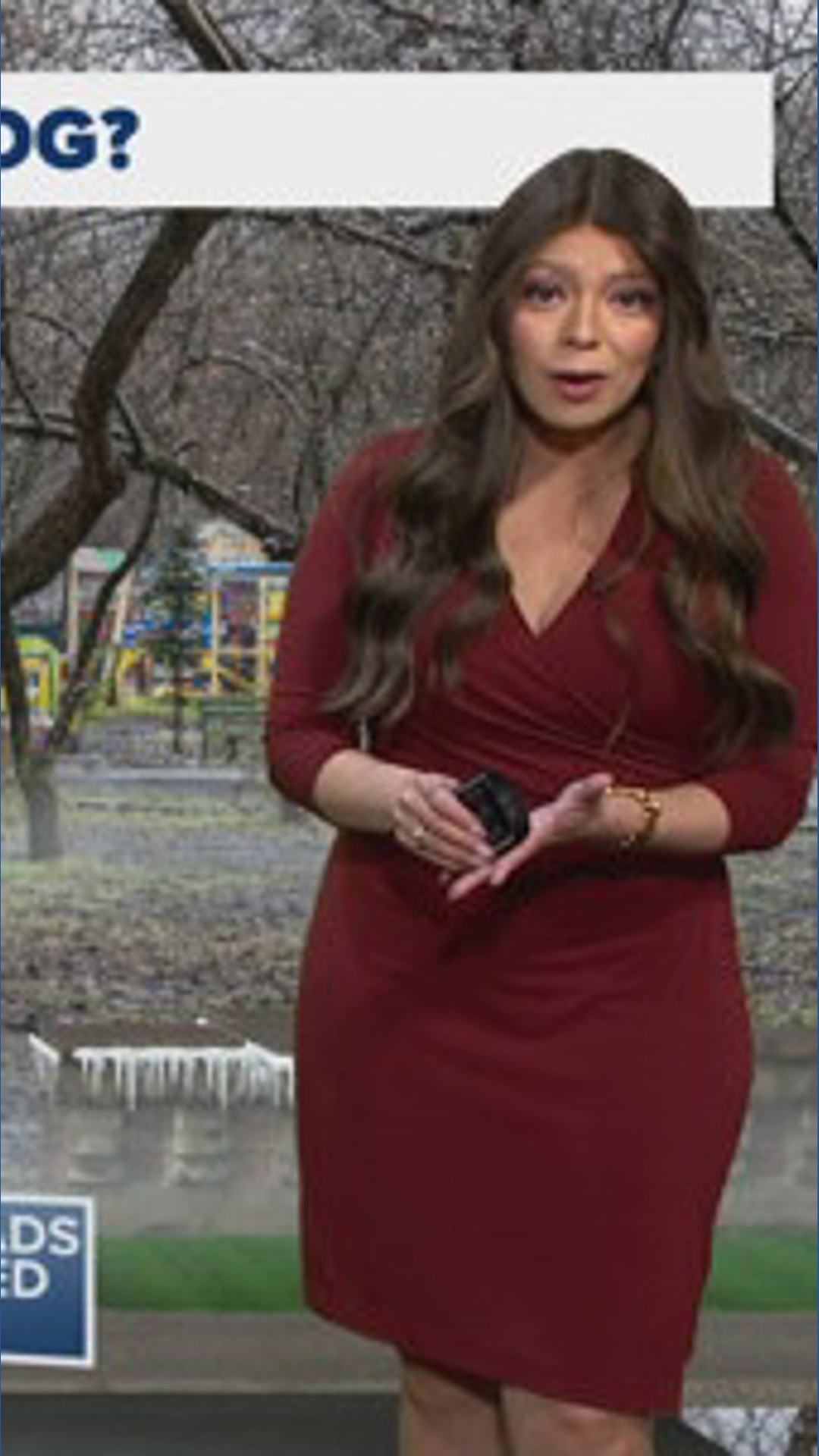 Freezing fog?! Here's what's coming up next in the forecast | wfaa.com