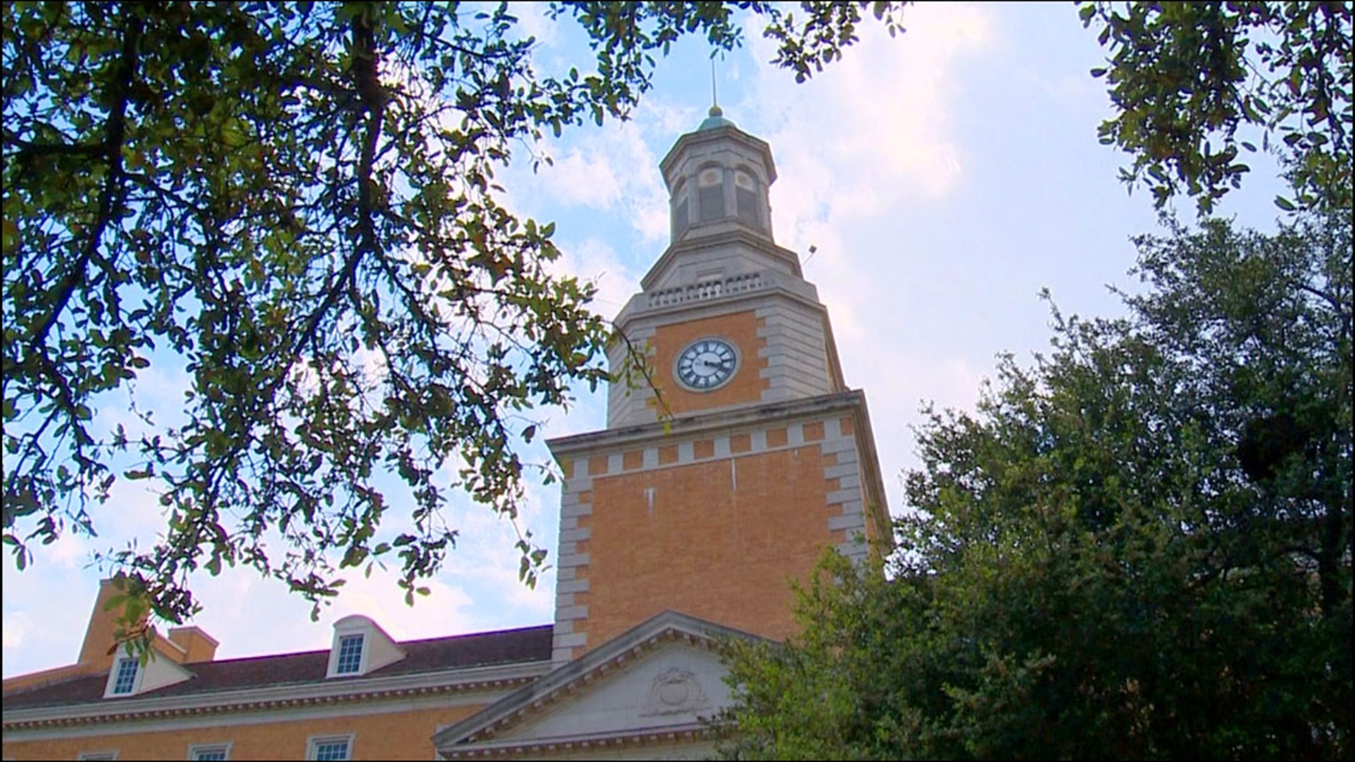 Denton, TX: UNT to offer more plant-based meals | wfaa.com