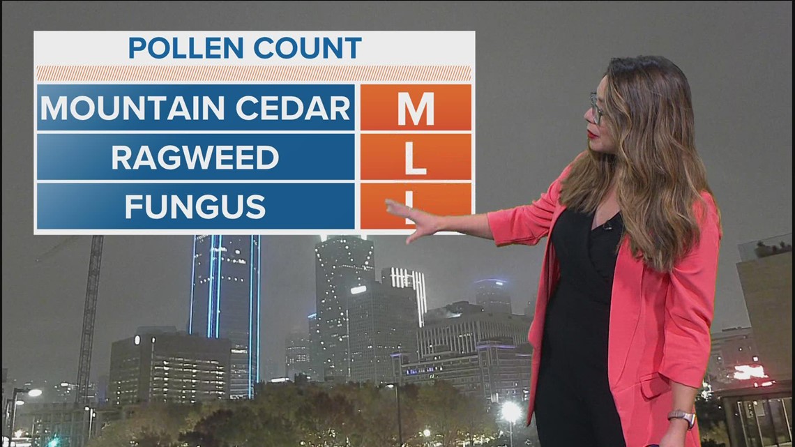 A look at pollen count in North Texas | wfaa.com