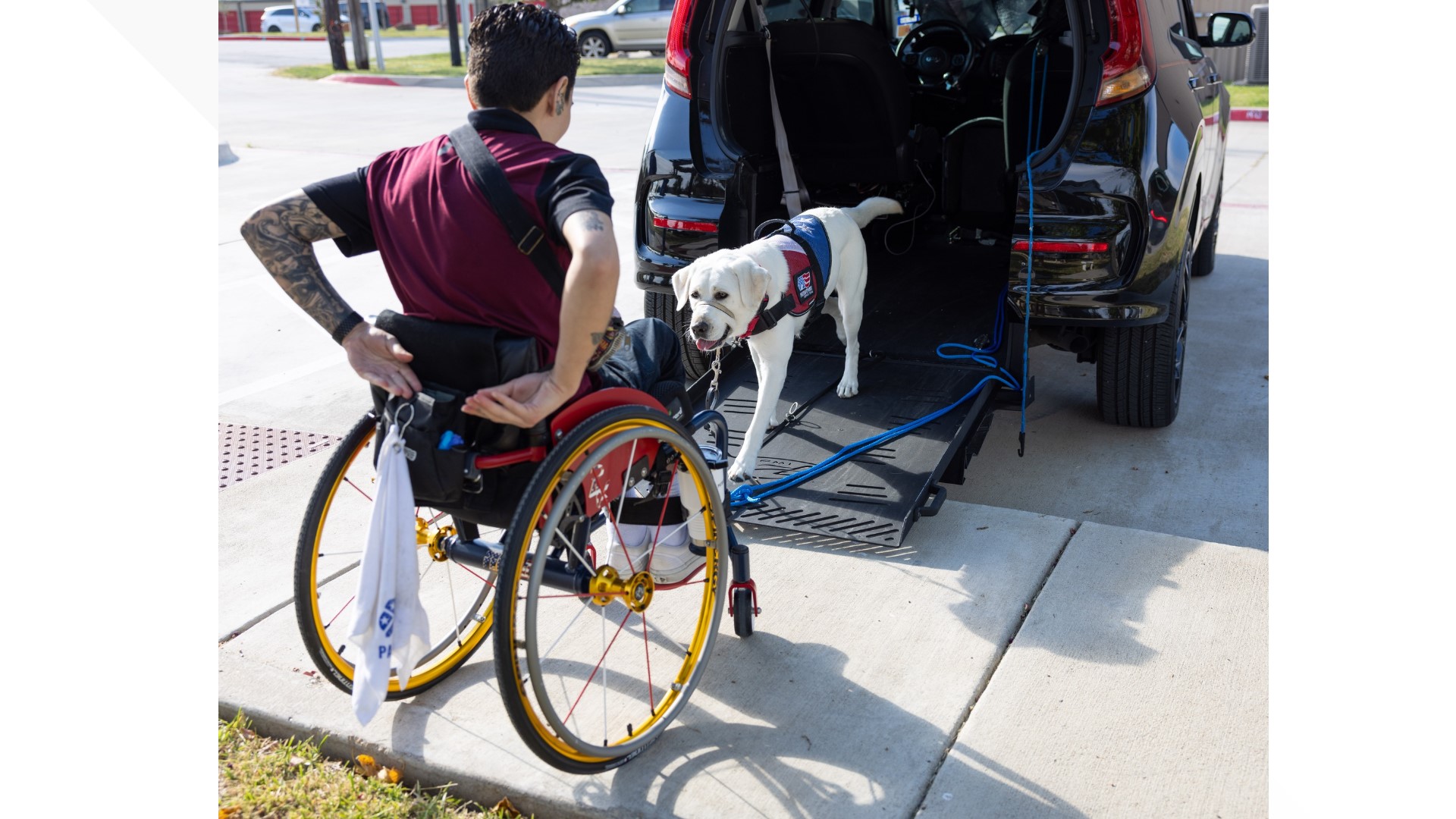 Patriot PAWS partners service dog, Caliber, with Texas A&M veterinarian ...