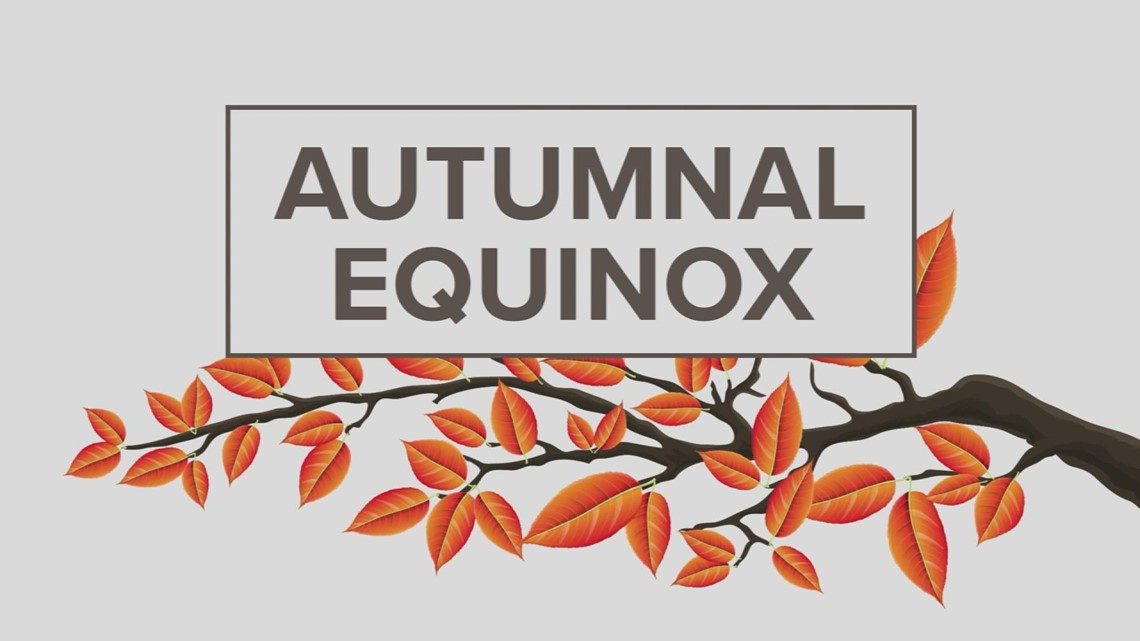 How do leaves change colors in the fall? Take a closer look at the ...