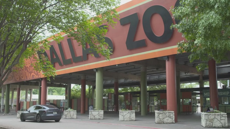 Dallas Zoo Dollar Days: How to get tickets | wfaa.com