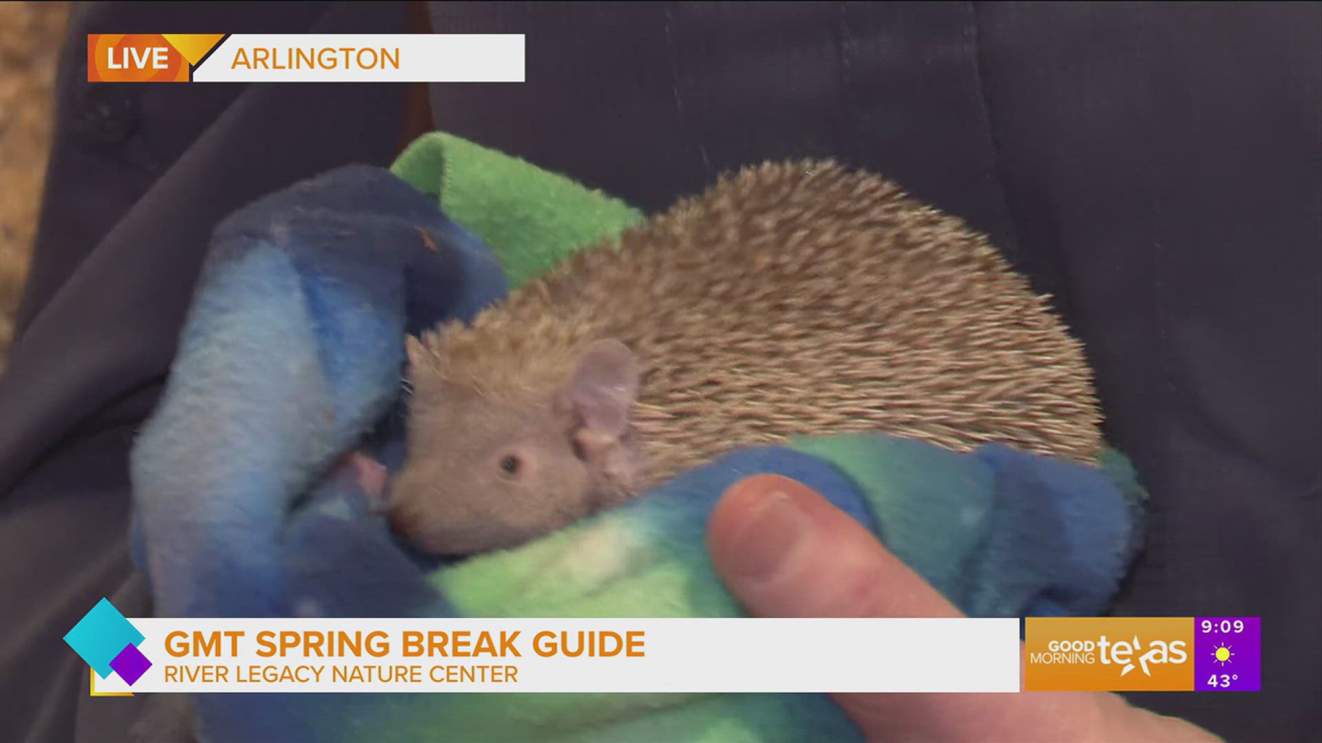 Spring Break Fun: River Legacy Nature Center | wfaa.com