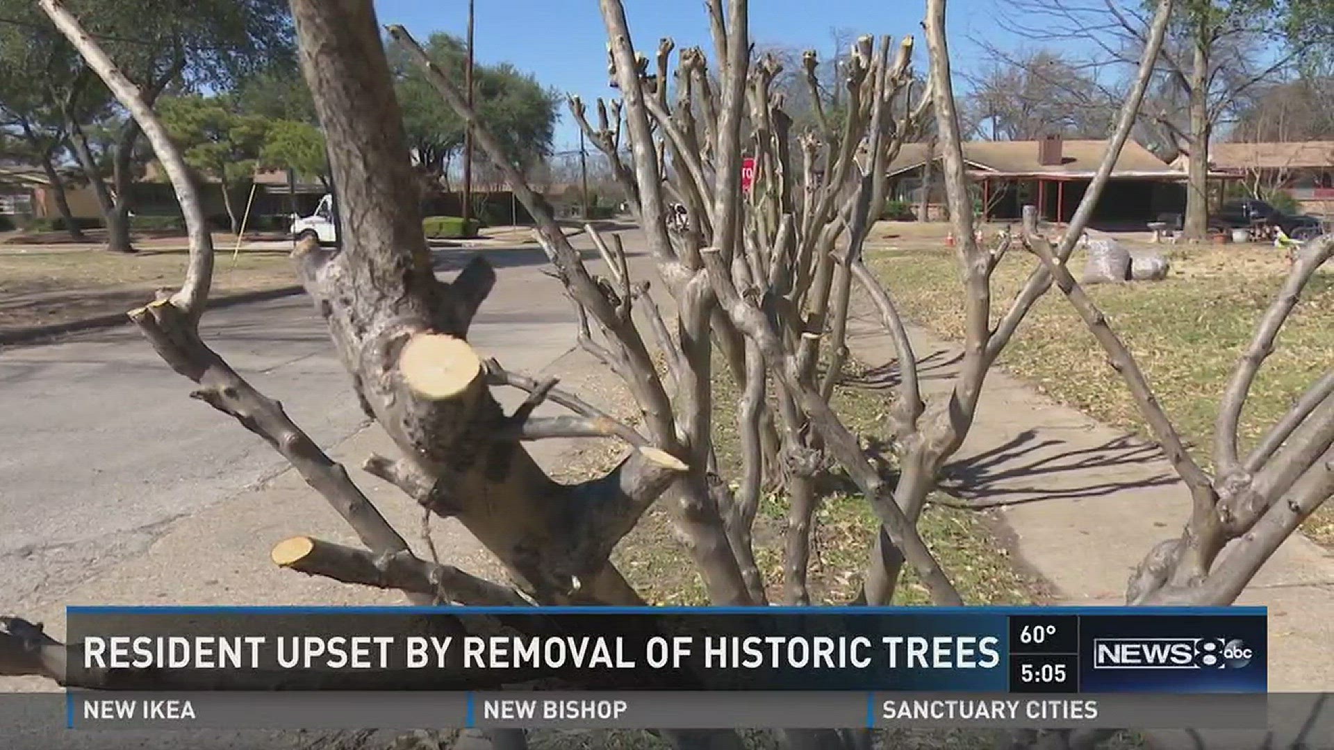 Mesquite resident upset by historic tree removal | wfaa.com