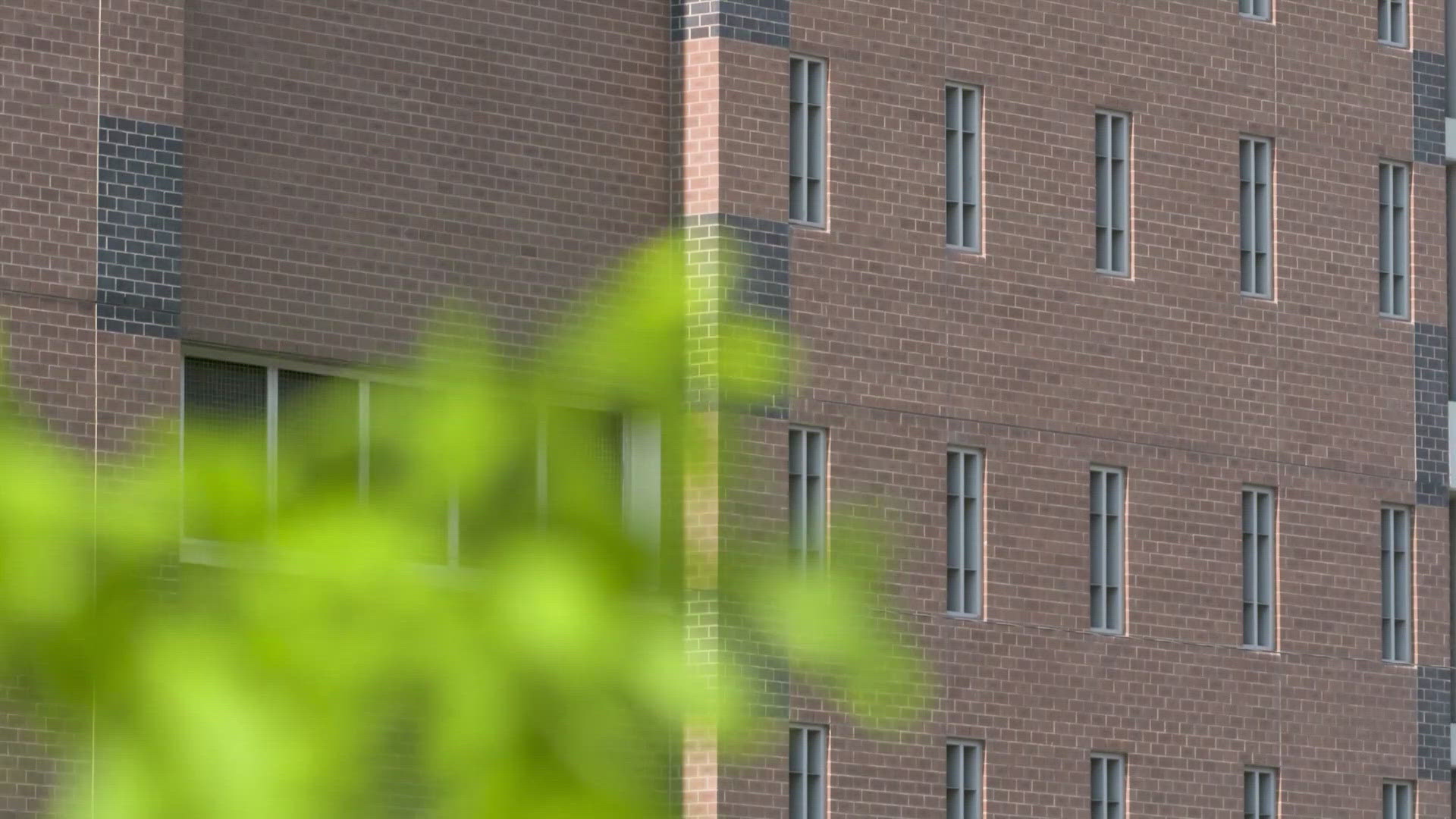 This app helps you stick to your "read more" resolution | wfaa.com