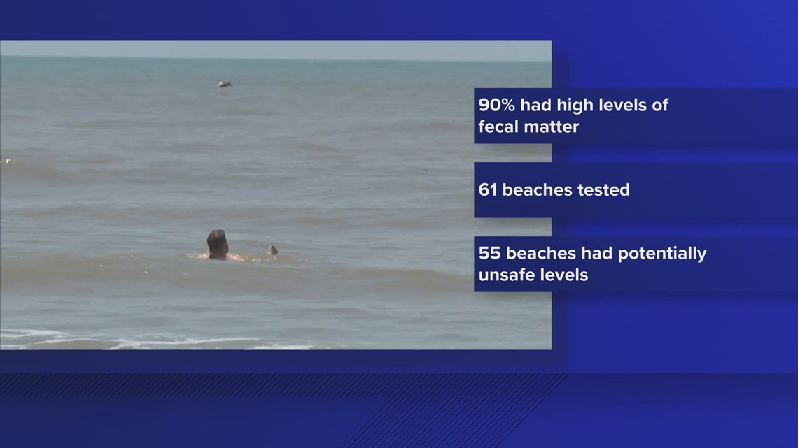 Study finds 90% of Texas beaches have fecal matter that can cause ...