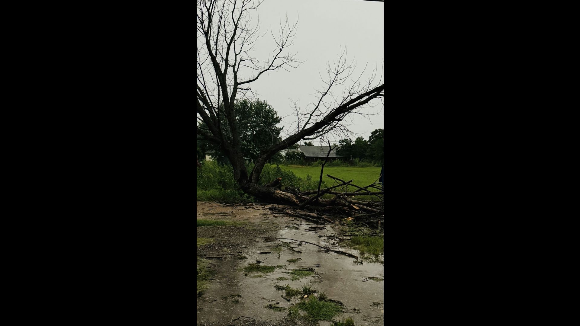 DFW severe storm damage after tornado warnings: Updates | wfaa.com