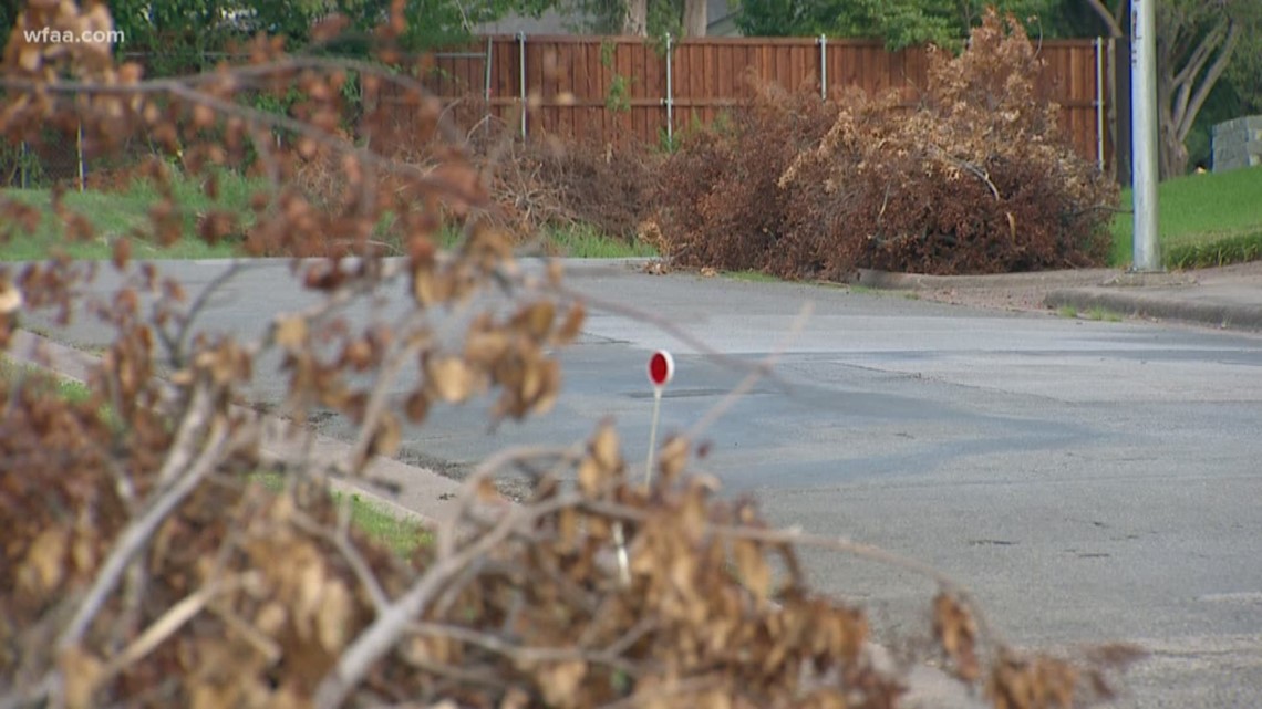 Dallas storms: Temporary site for debris takes place in Dallas | wfaa.com