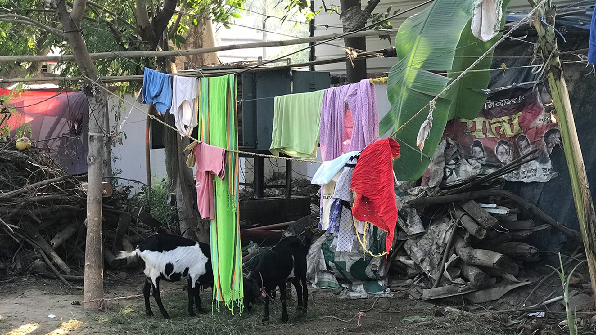 From A to Z: The Sherin Mathews case | wfaa.com