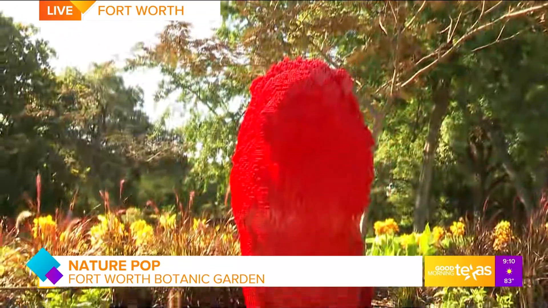 Fort Worth Botanic Garden's "Nature Pop" LEGO® art exhibit | wfaa.com
