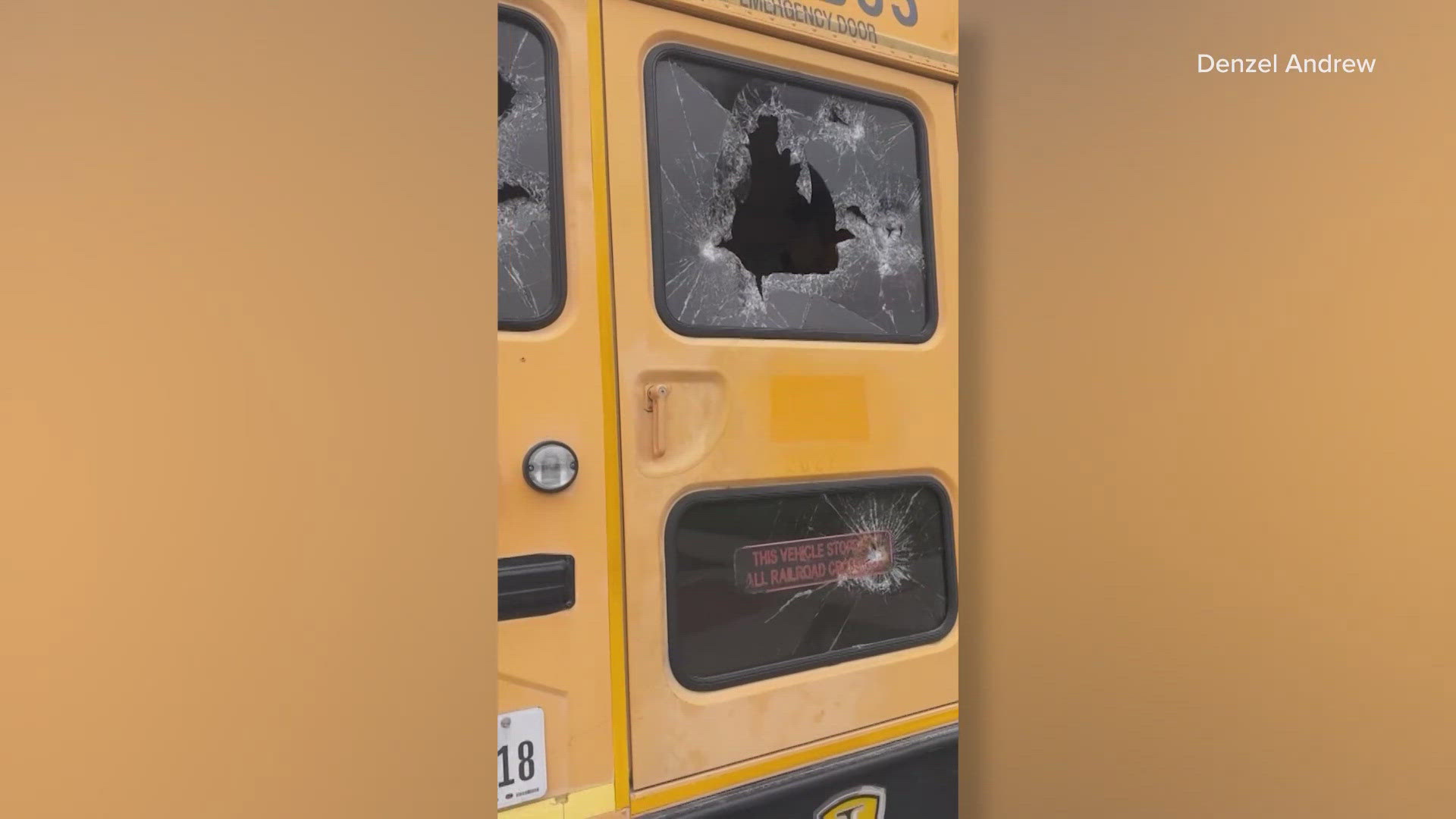 Community fundraising to help North Texas doggie daycare owner after ...