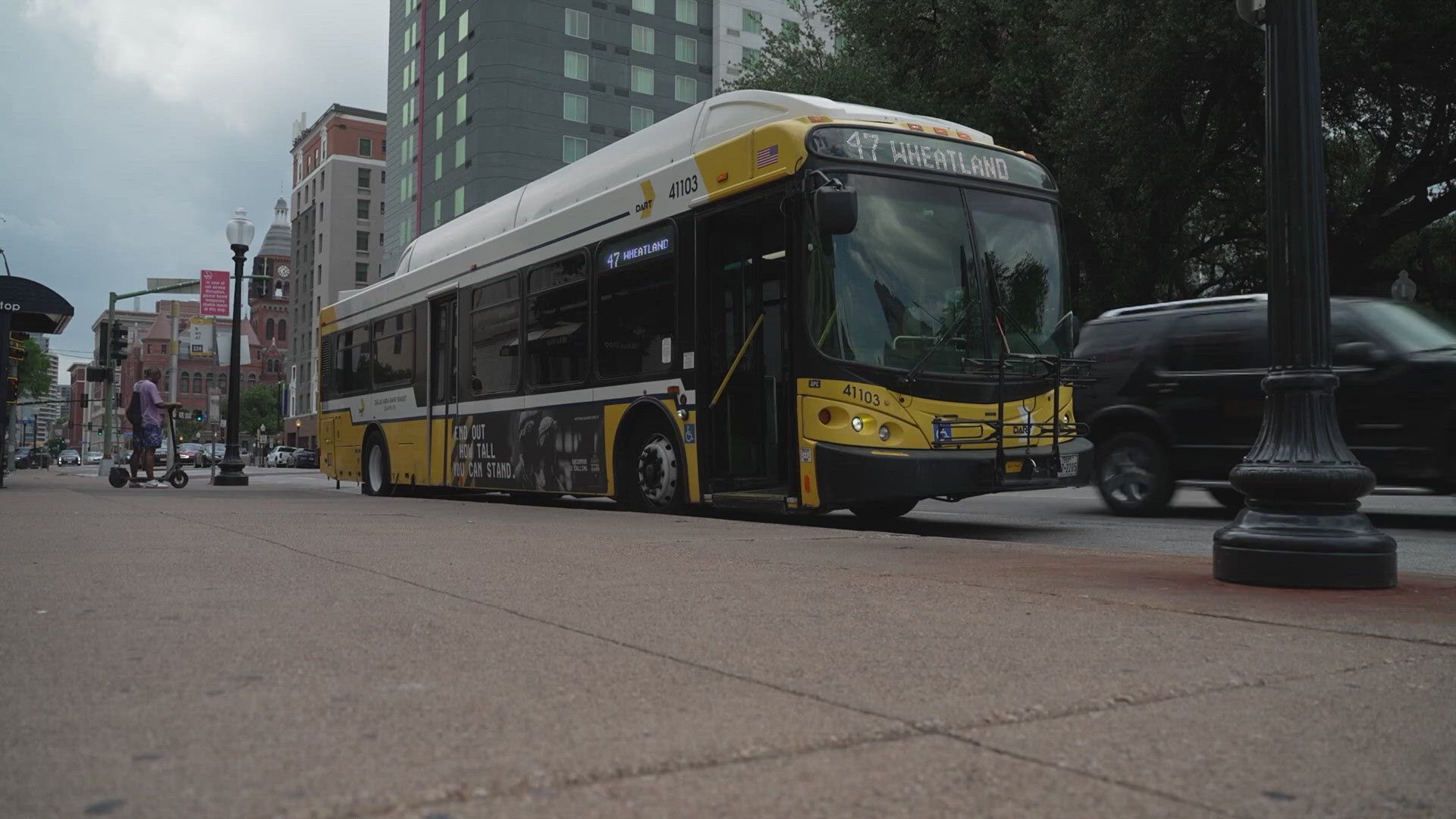 Asian Lady Beetles: Here's what to know about these fake ladybugs ...