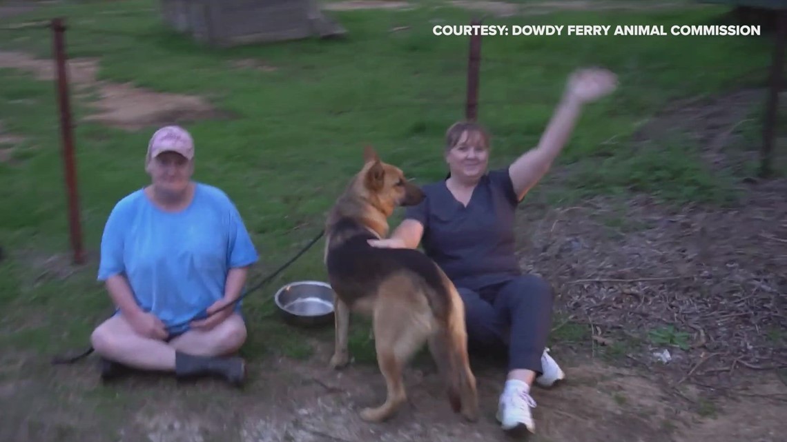 Abandoned dog rescued by residents, Dallas Animal Services | wfaa.com