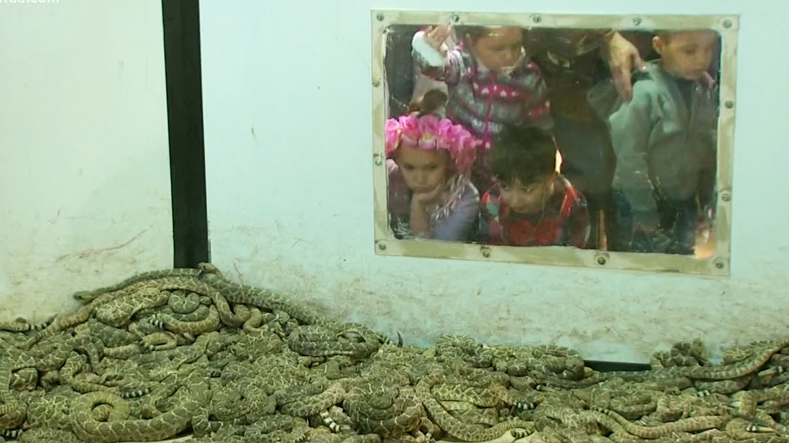 Why thousands flock to this Texas town known for rattlesnakes | wfaa.com