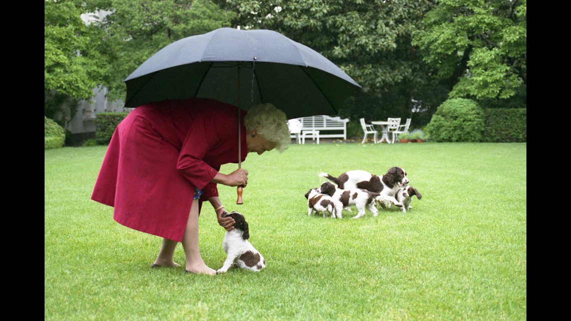 PHOTOS: Barbara Bush's life in pictures | wfaa.com