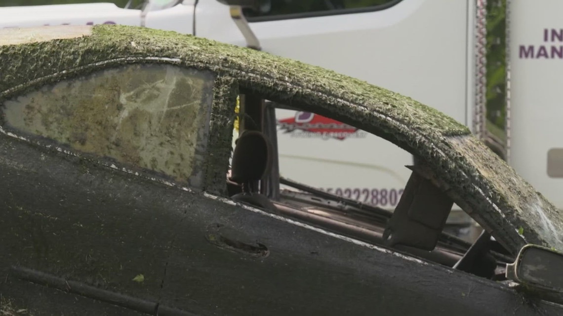 Dallas marshal shot, killed aggressive coyote near Katy Trail, city ...