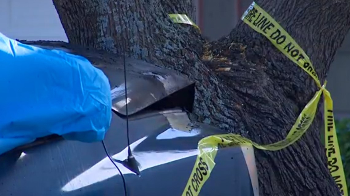 Discarded tree branches turn minor car crash into deadly inferno | wfaa.com