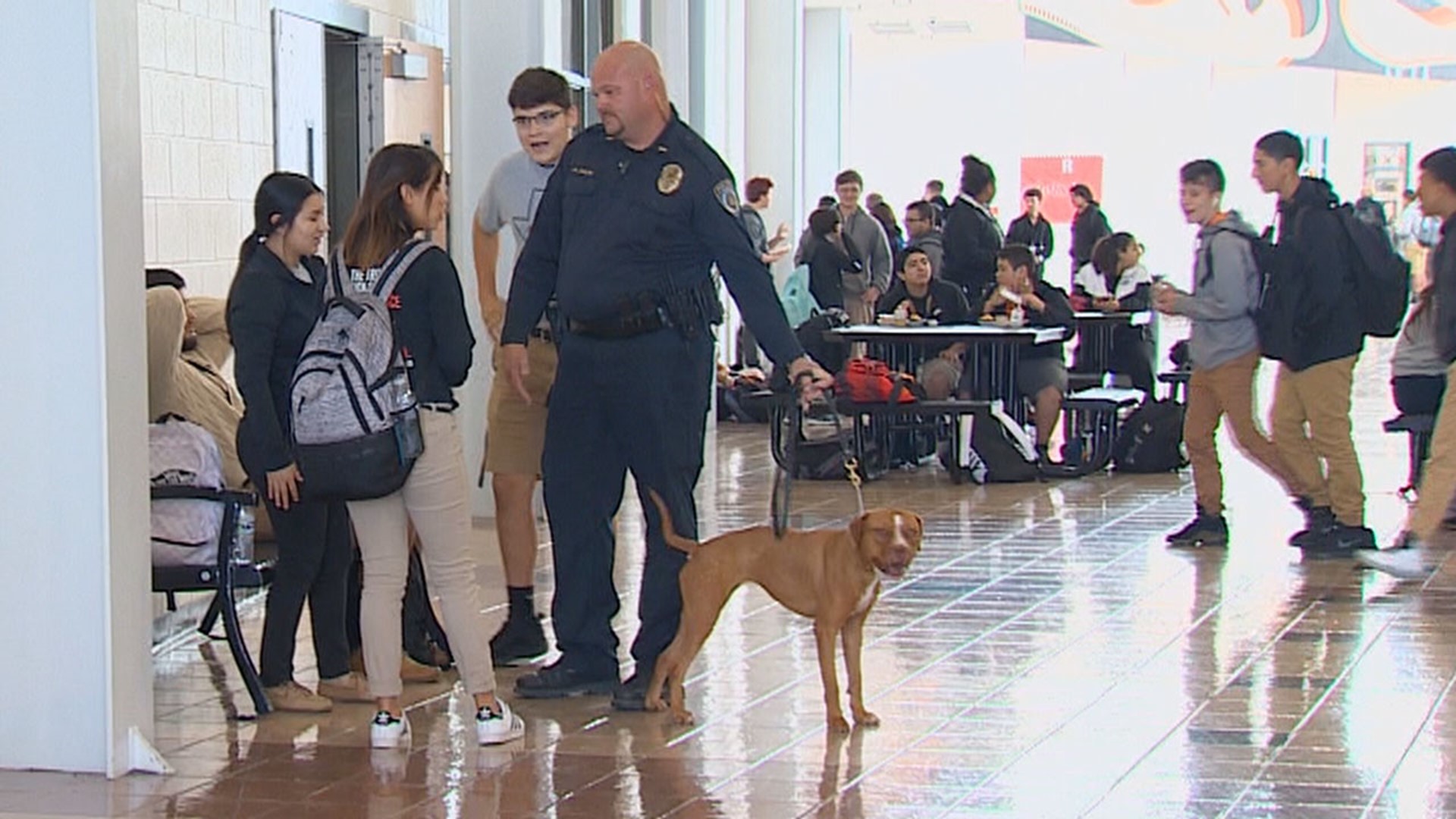 Dog gets second chance with Ferris ISD Police | wfaa.com