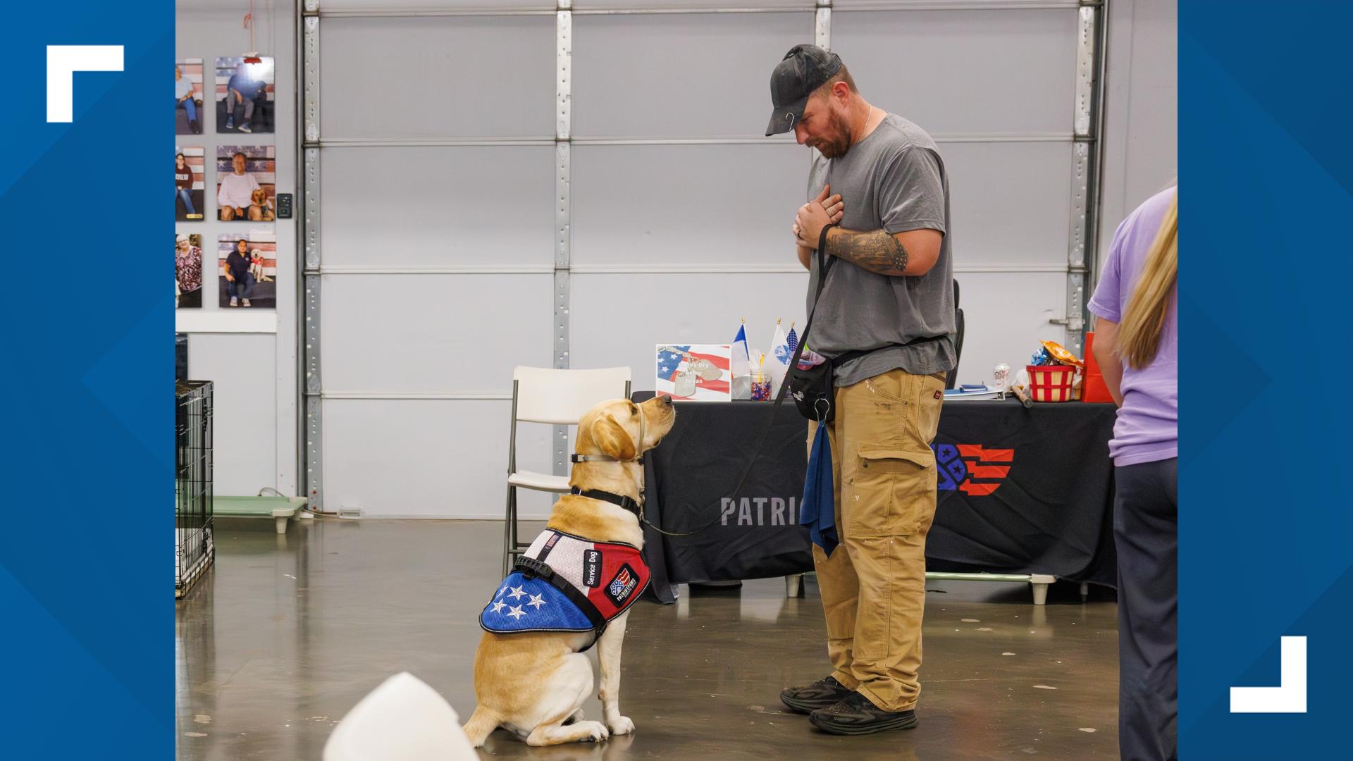 Patriot PAWS service dogs graduate to help veterans in need | wfaa.com