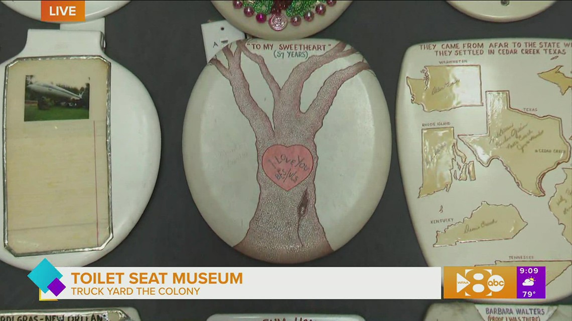 Celebrate National Toilet Paper Day with Paige | wfaa.com