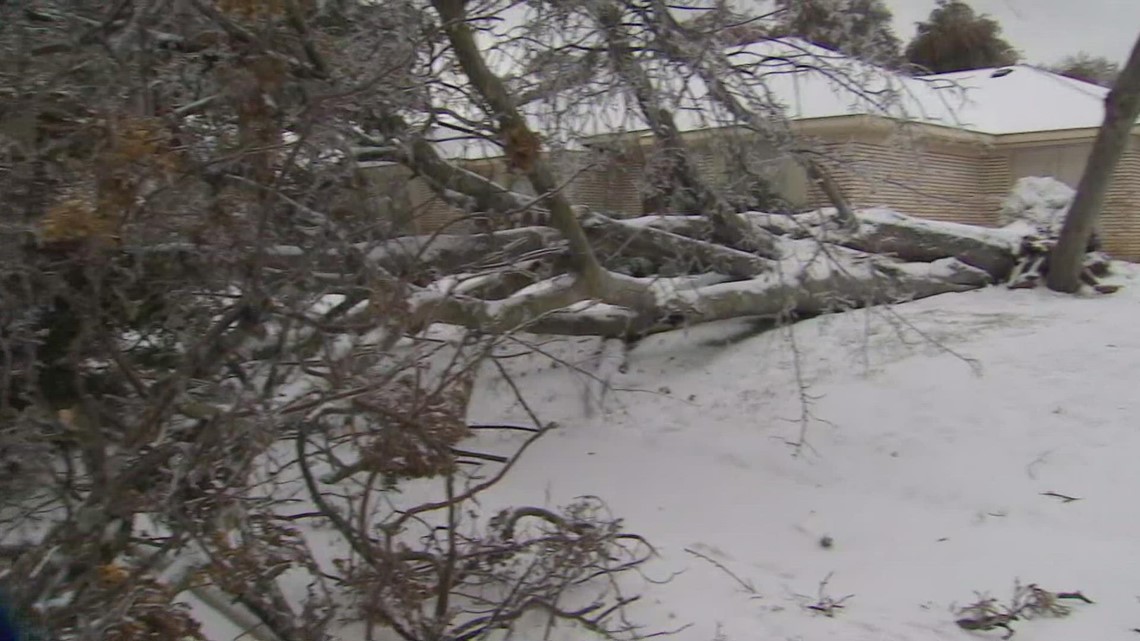 DFW winter storm: Taking a look at tree damage in Plano | wfaa.com