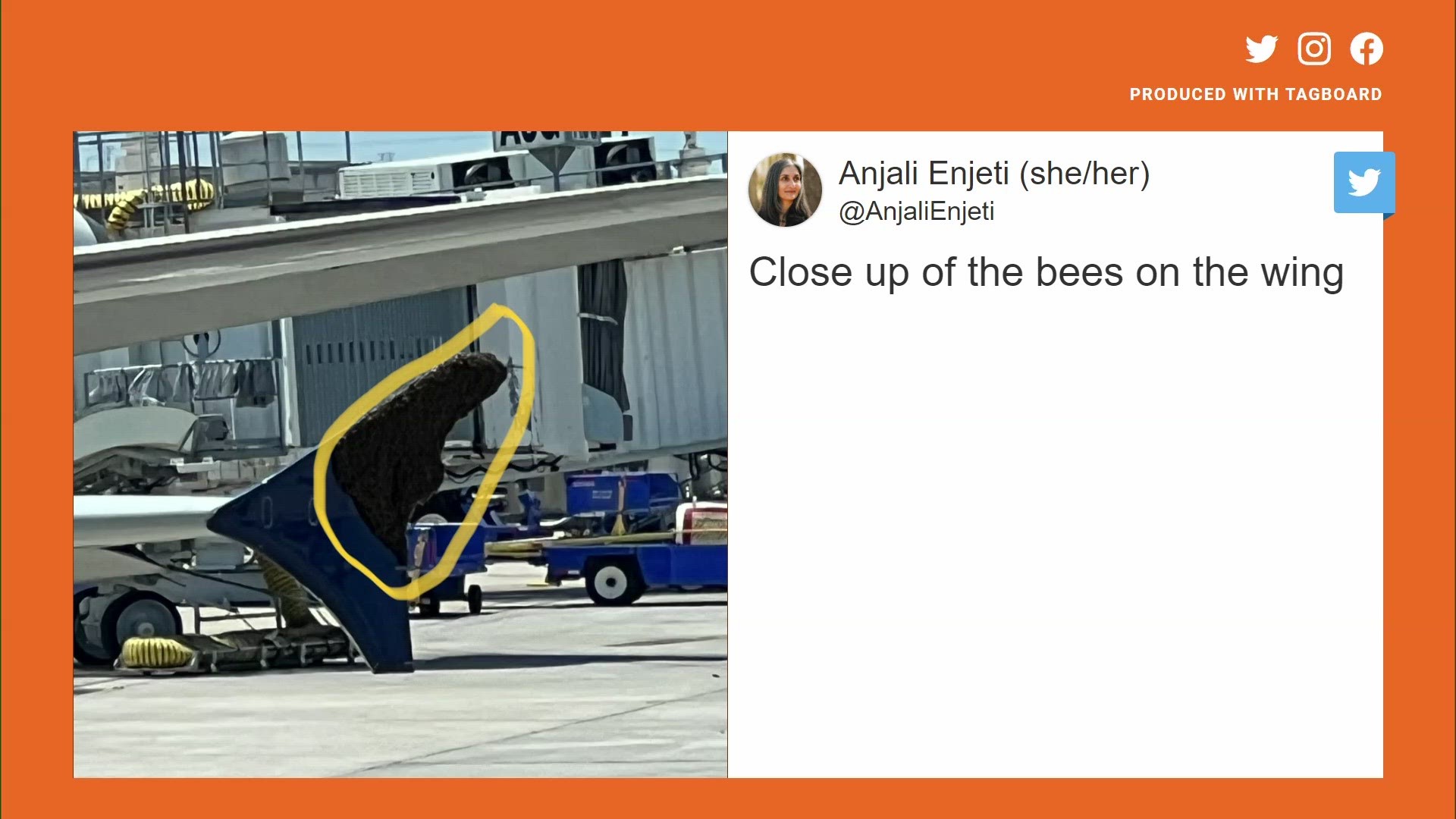 Swarm of bees delays Delta flight for hours in Houston | wfaa.com