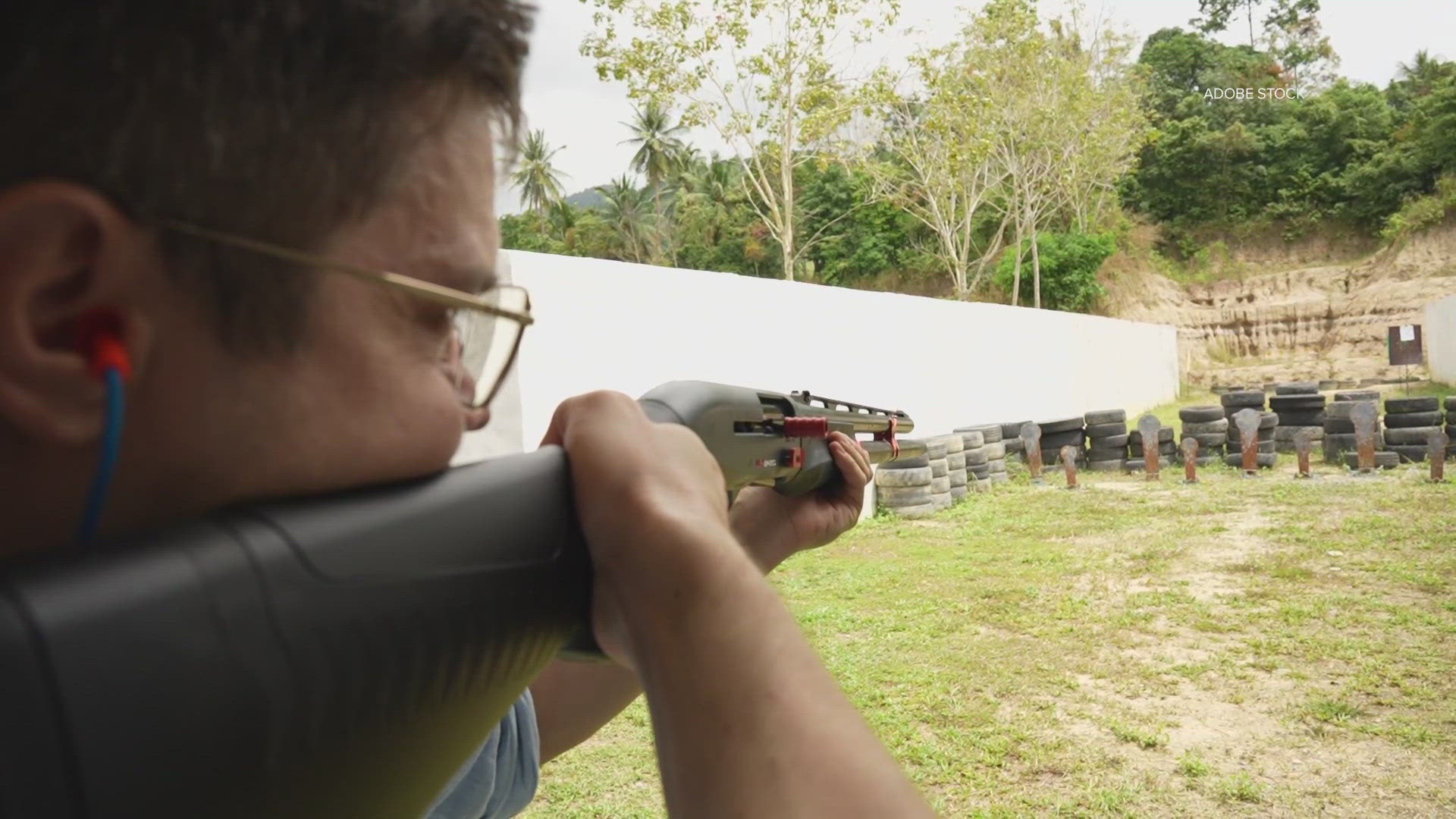 Asian Lady Beetles: Here's what to know about these fake ladybugs ...