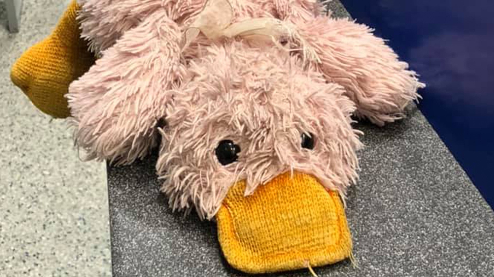 Lose your duck at George Bush Intercontinental Airport in Houston ...