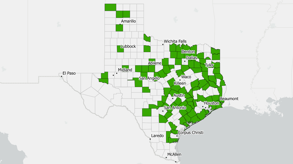 MAP: These are the counties where bars can open in Texas | wfaa.com