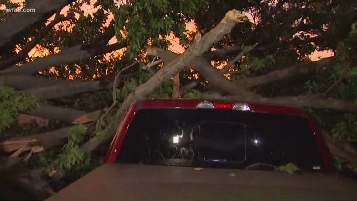 Storms takes down tree, power lines in Dallas | wfaa.com