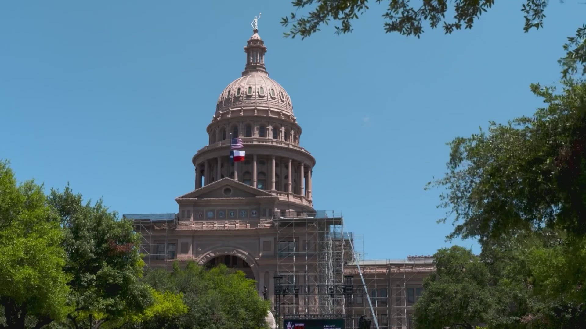 Texas primary election field set | wfaa.com