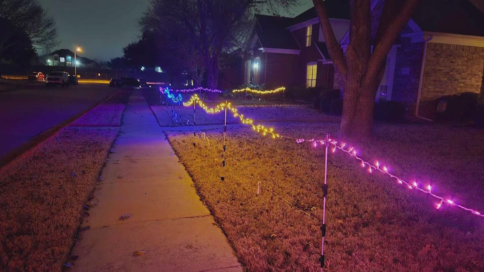 'Hogmageddon' | Irving residents fend off feral hogs with DIY electric ...