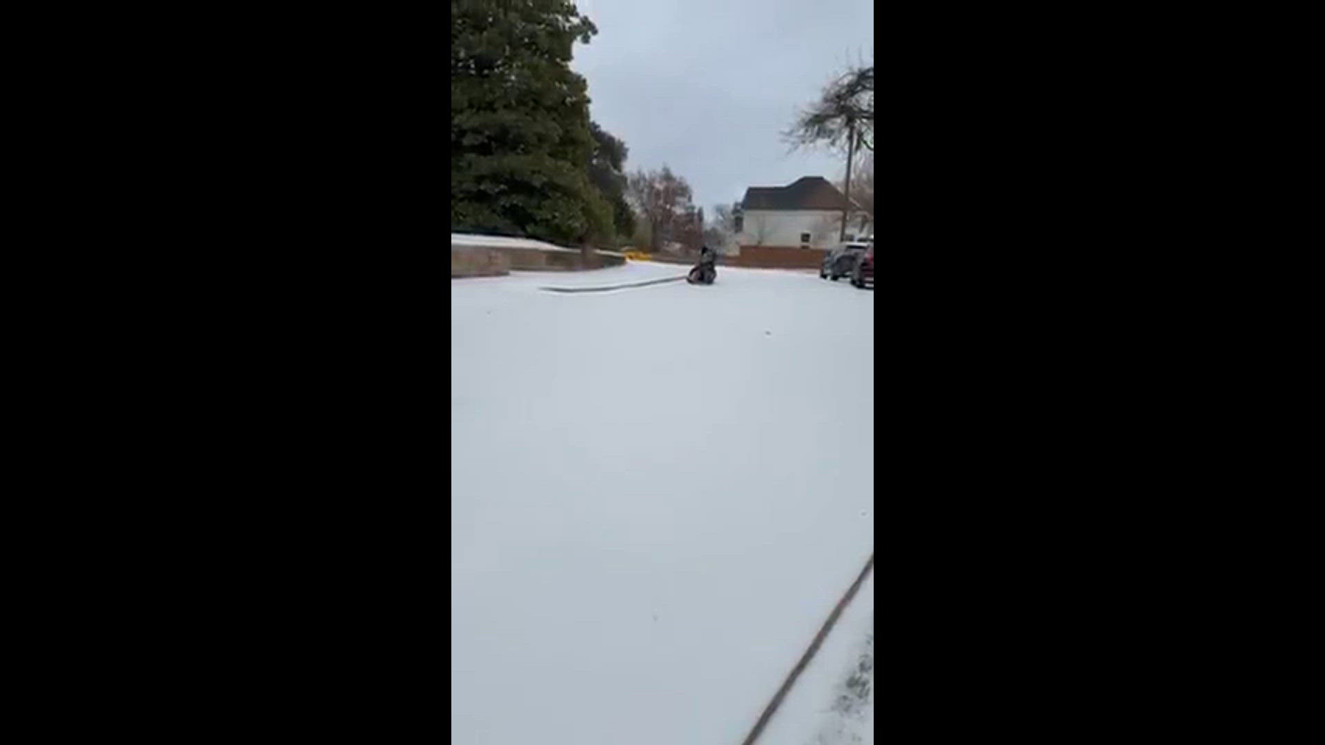 Sledding in Oak Cliff | wfaa.com