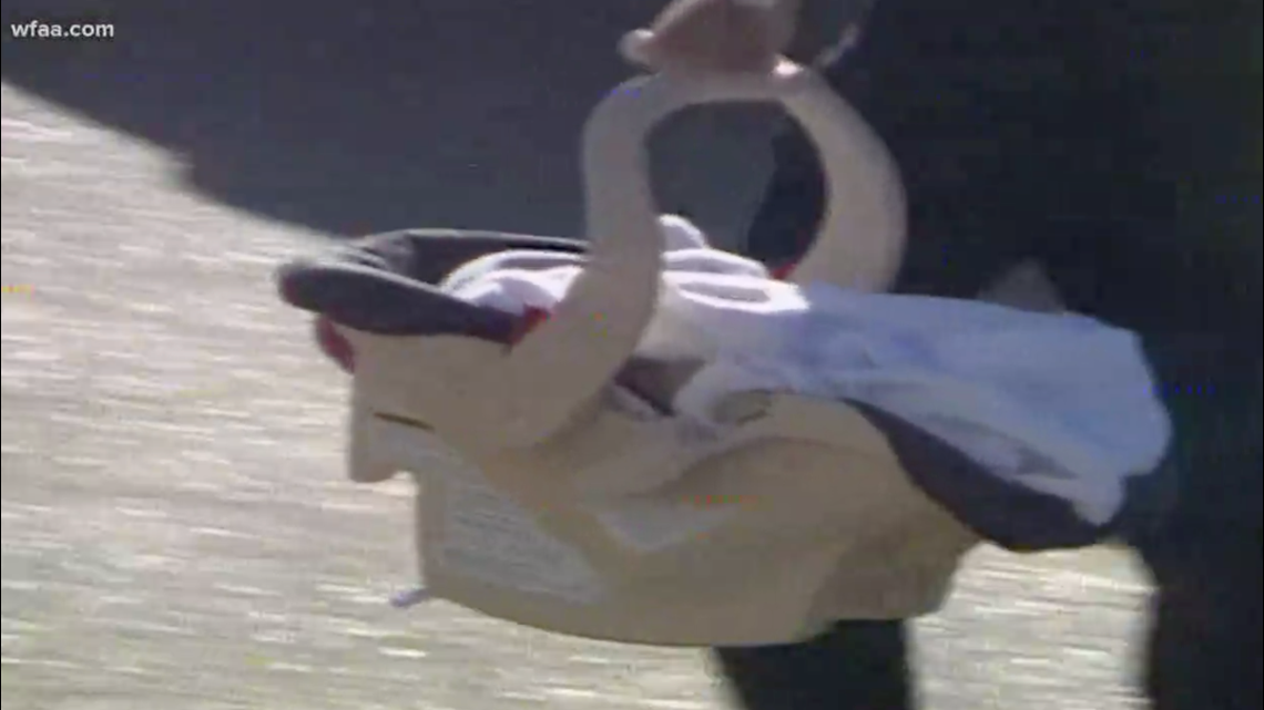 Meet the first woman to be found from an AMBER Alert 20 years ago in ...