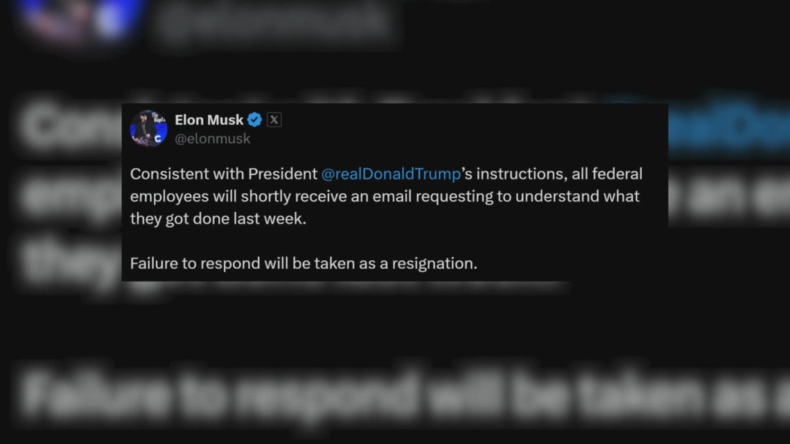 Elon Musk says he instructed all federal employees to justify their ...