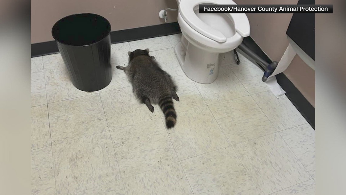 Police find drunk, passed out bandit in a liquor store bathroom | wfaa.com