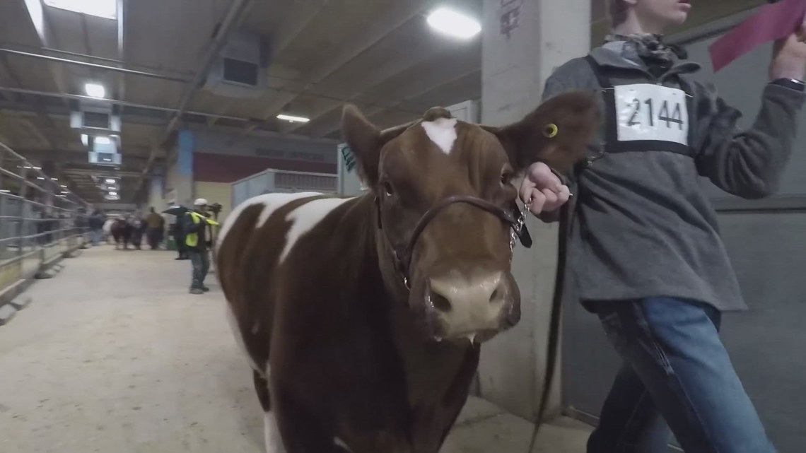 Celebrating opening day of Fort Worth Stock Show and Rodeo | wfaa.com