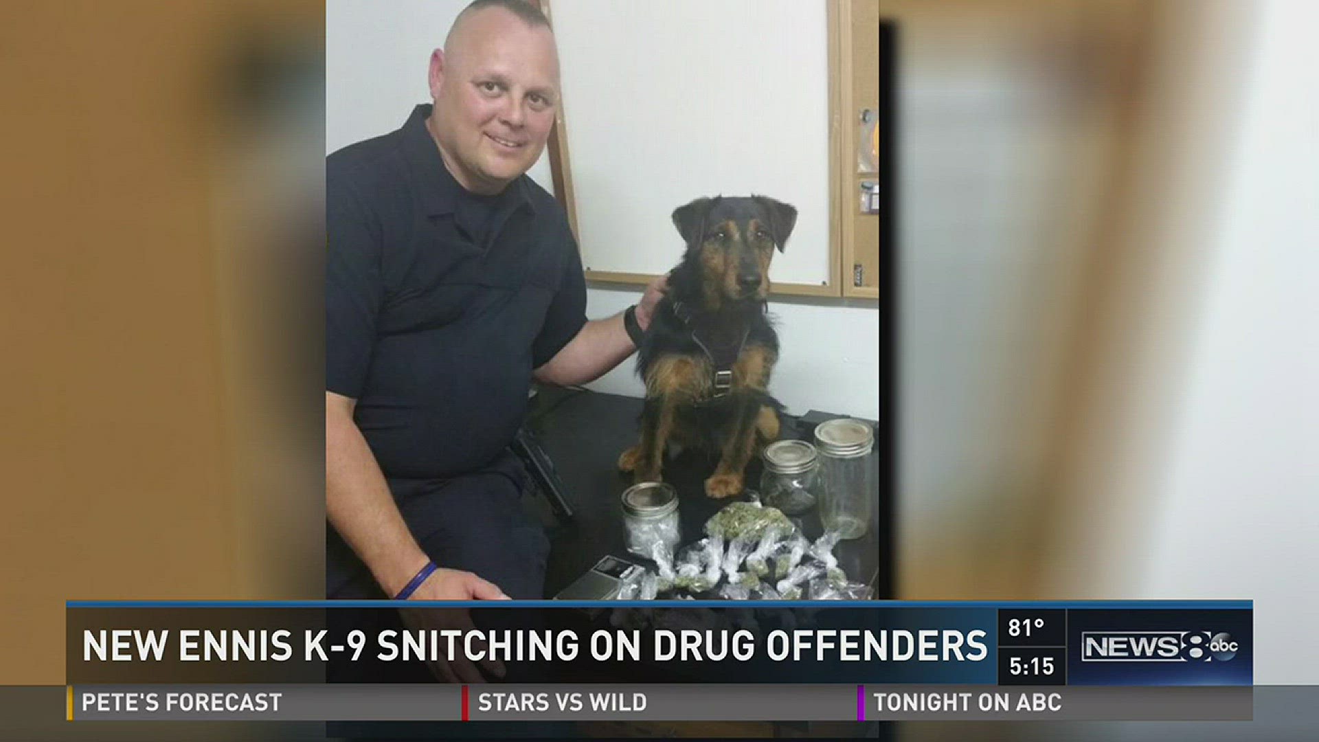 Ennis PD hopes tiny addition makes big difference in drug busts | wfaa.com